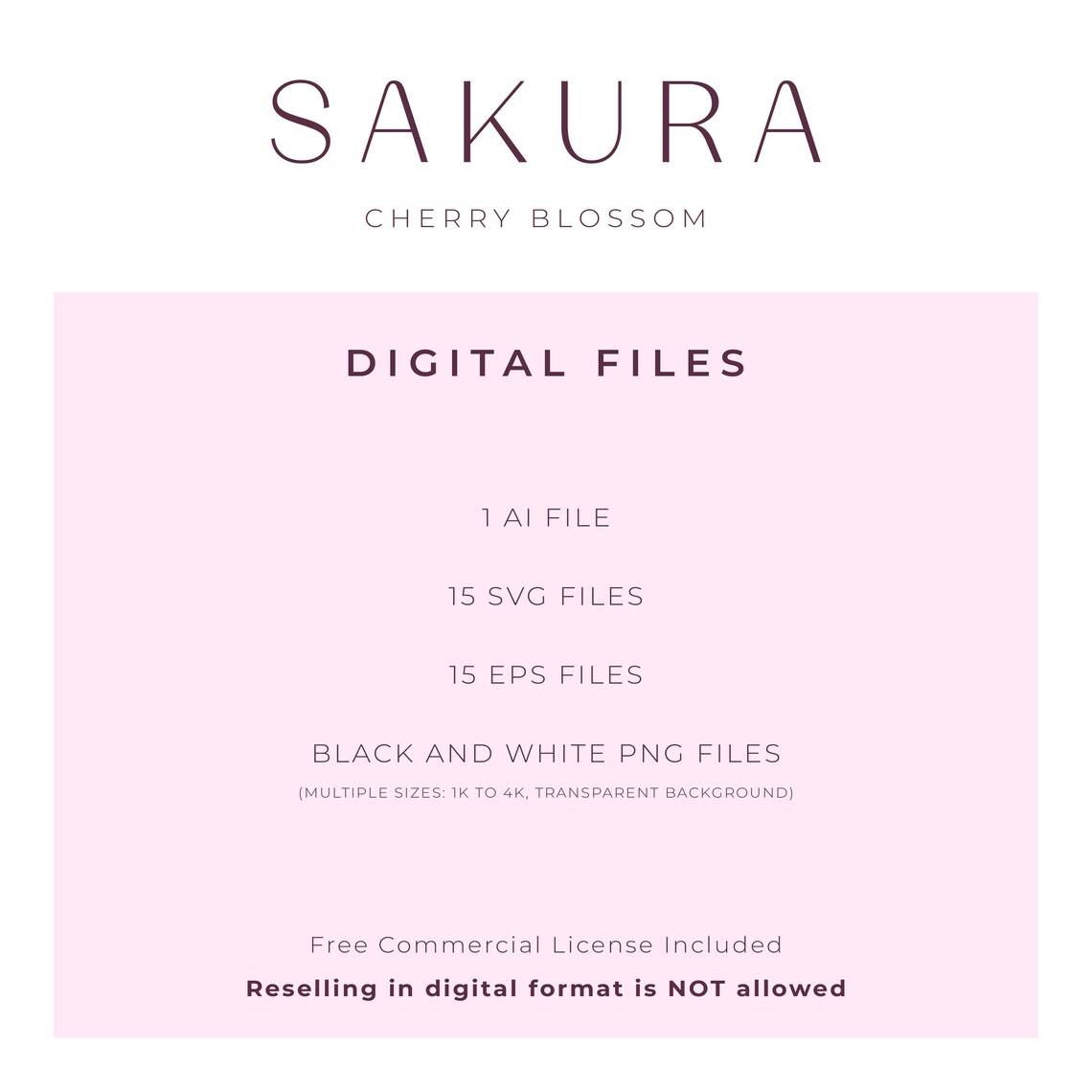 Sakura Cherry Blossom Hand Drawn Flowers, Minimal Lineart Illustrations ...