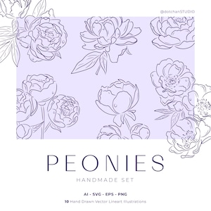 Peonies Hand Drawn Lineart, Minimal Lineart Illustrations, Vector Art ...