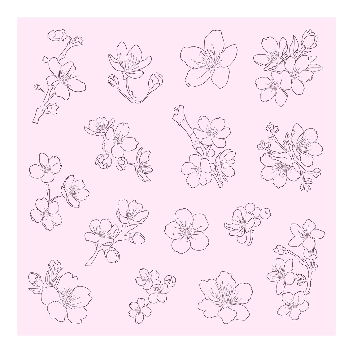 Sakura Cherry Blossom Hand Drawn Flowers, Minimal Lineart Illustrations ...