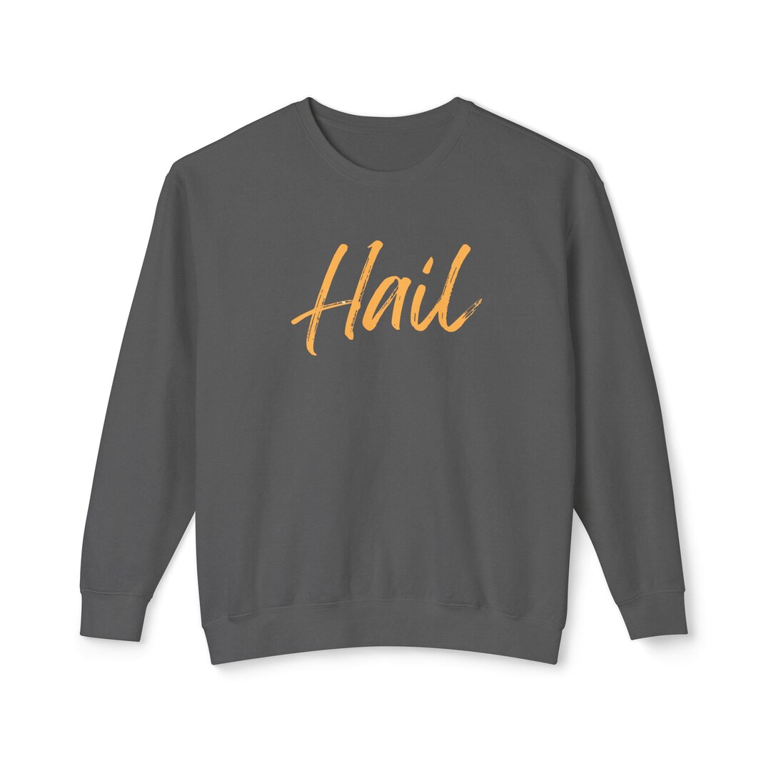 University of Michigan HAIL Unisex Lightweight Crewneck Sweatshirt - Etsy