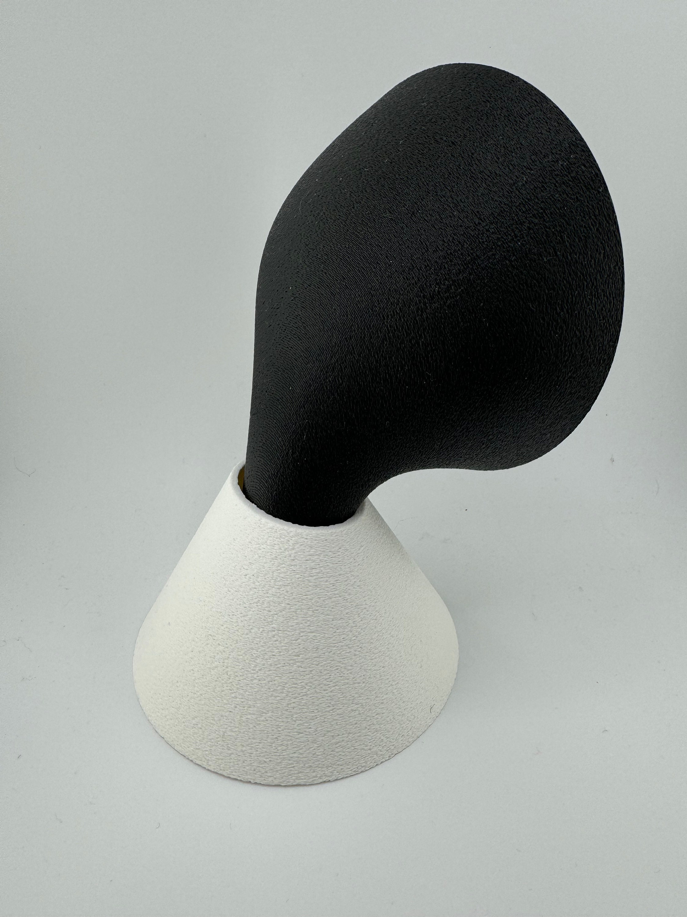 Event Horizon Explorer: 3D Printable Black Hole Model for Educational ...