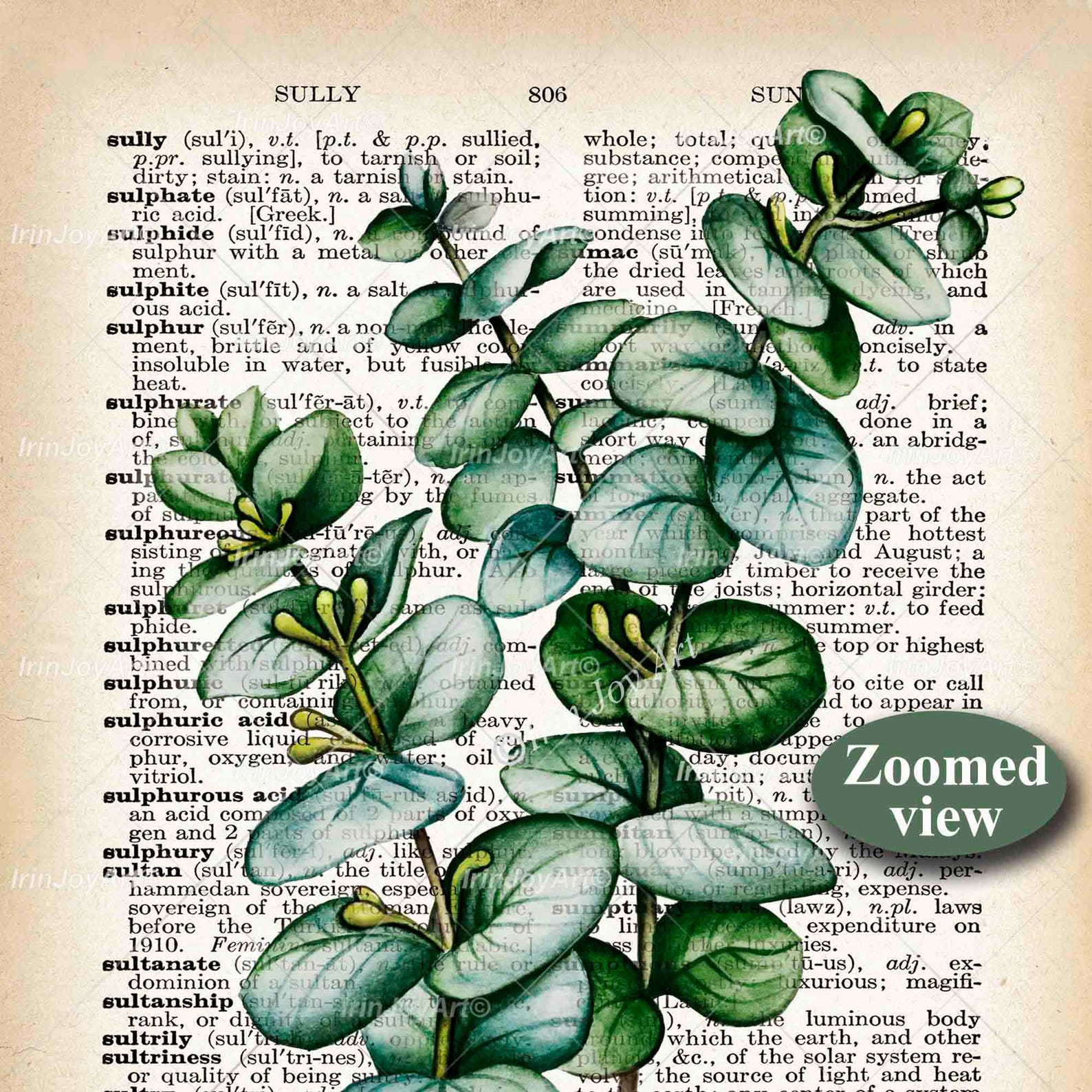 Green Abstract Eucalyptus Plant Art Print Set 2 3 4, Dictionary Old ...
