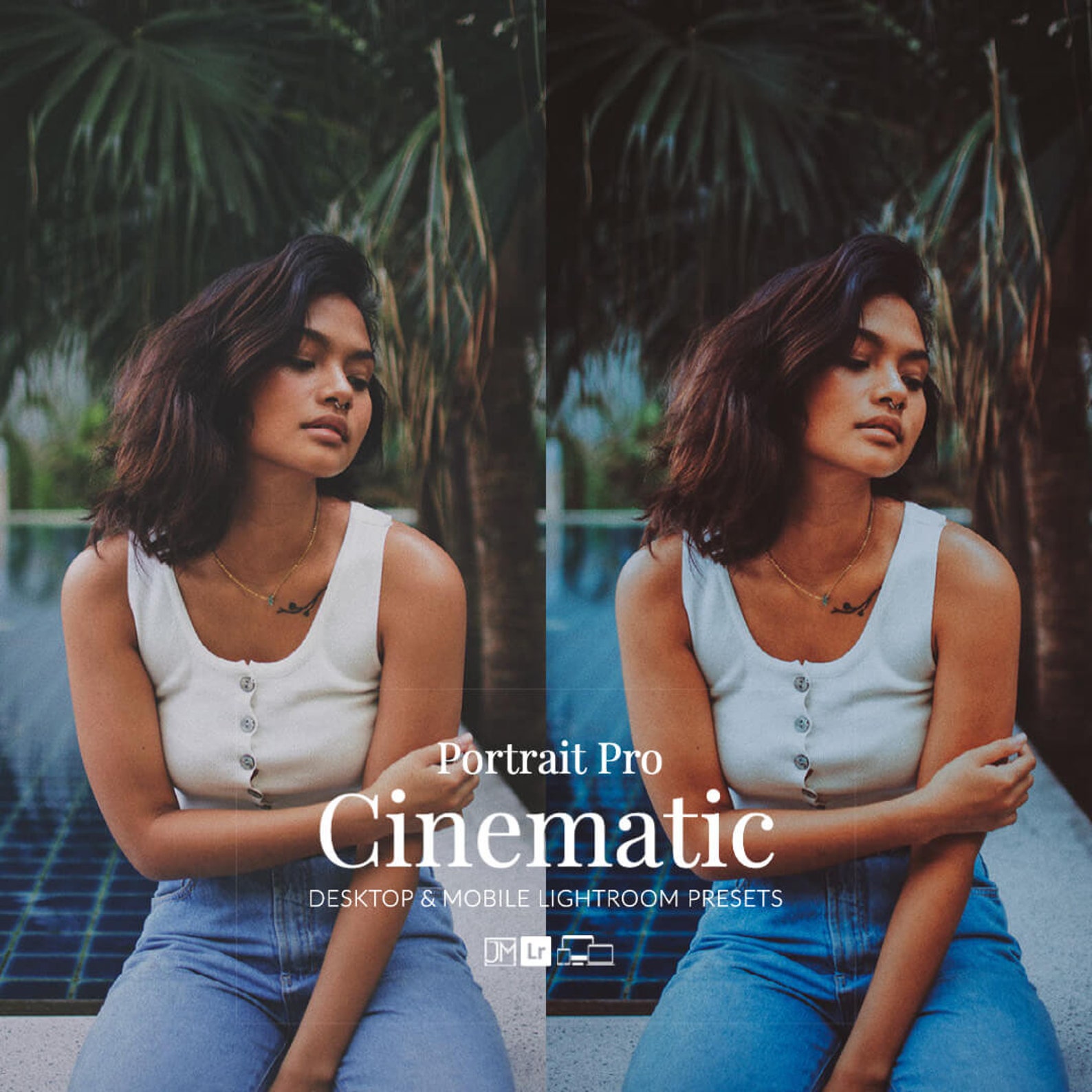 Portrait Pro - Cinematic Presets Collection (inc Free Retro Presets ...