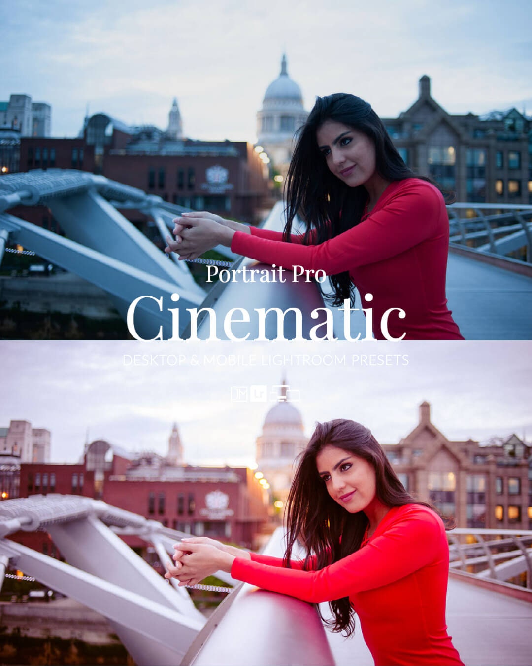 Portrait Pro - Cinematic Presets Collection (inc Free Retro Presets ...