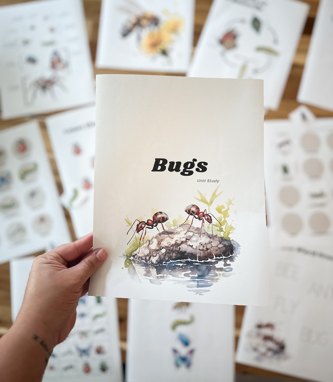 Bugs Unit Study Homeschool Pre-k - Etsy