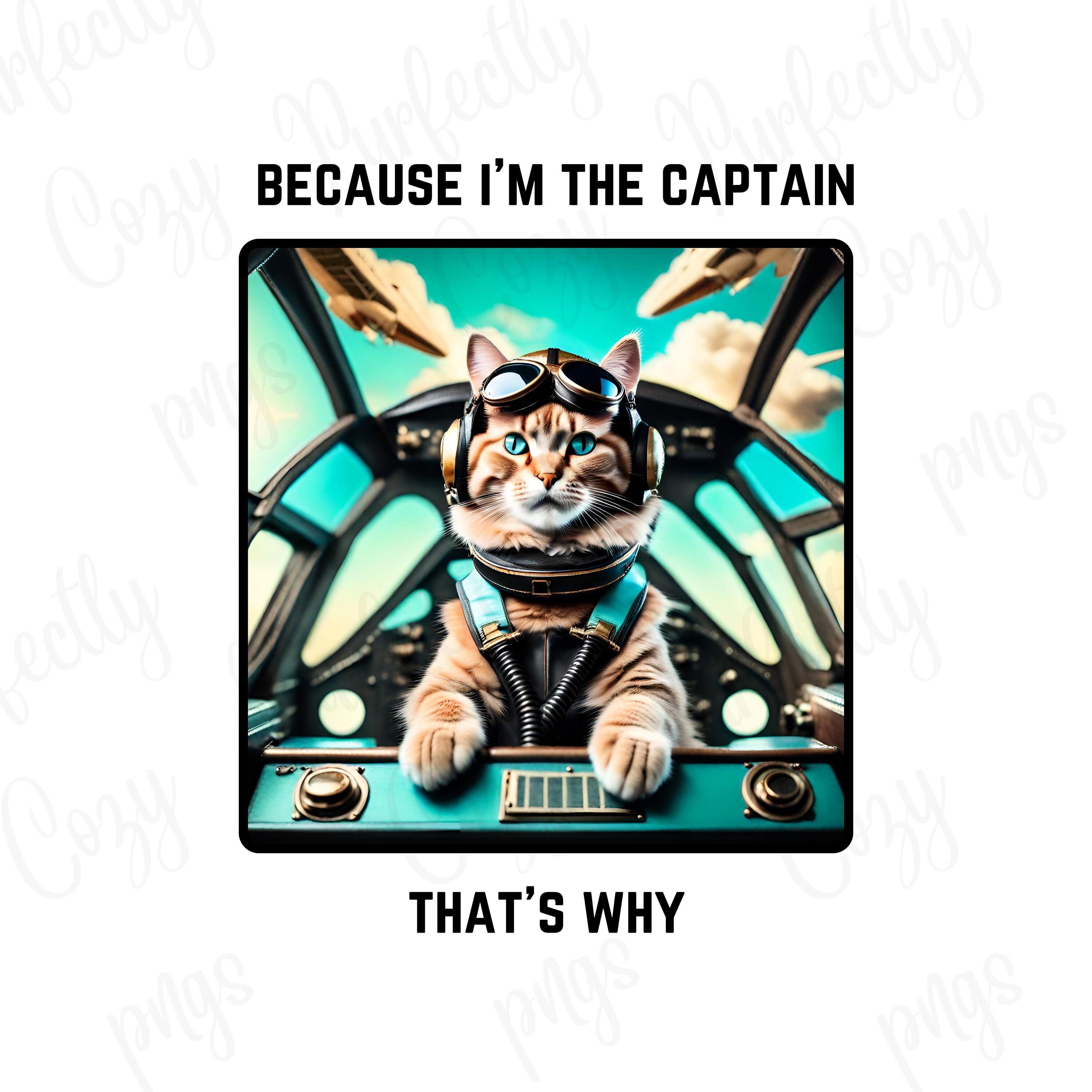 Cat Pilot Png, Funny Png, Airplane Png, Flying Cat Png, Retro, Pilot ...