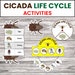 Cicada Life Cycle Activities | Homeschool Printable | Foldable Science ...