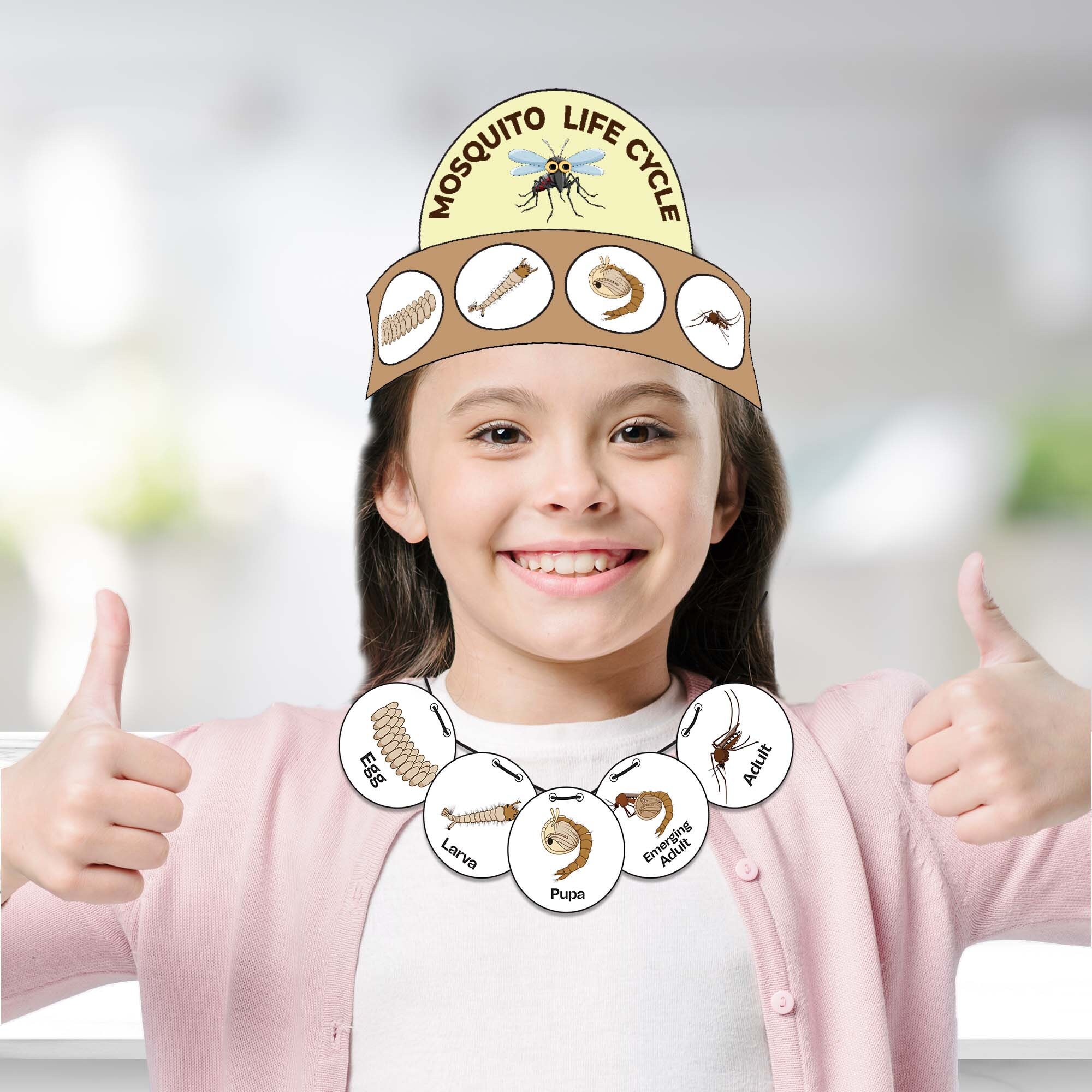 Mosquito Life Cycle Activity Pack - Explore the World of Mosquitoes! - Etsy