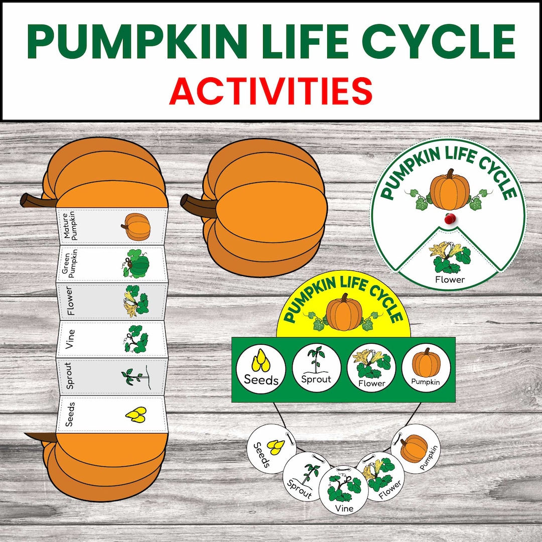 Pumpkin Life Cycle Activities | Homeschool Printable | Foldable Science ...