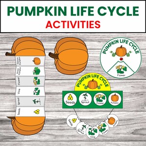 Pumpkin Life Cycle Activities | Homeschool Printable | Foldable Science ...