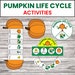 Pumpkin Life Cycle Activities | Homeschool Printable | Foldable Science ...