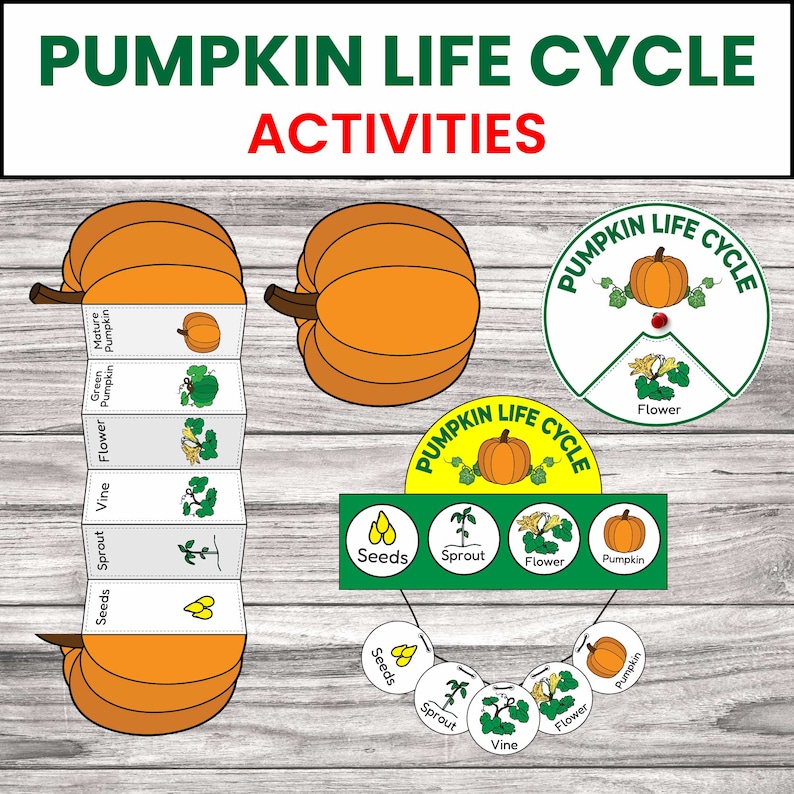 Pumpkin Life Cycle Activities | Homeschool Printable | Foldable Science ...