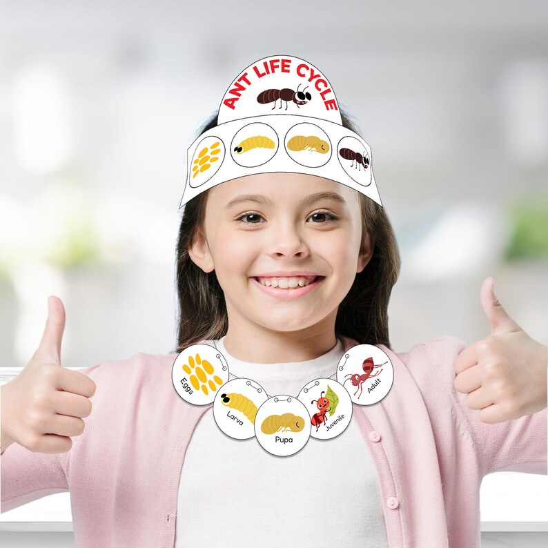 Ant Life Cycle Activities | Life Cycle of an Ant Craft | Homeschool ...