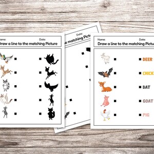 Matching Worksheets for Kids - 20 Printable Pages of Fun Educational ...