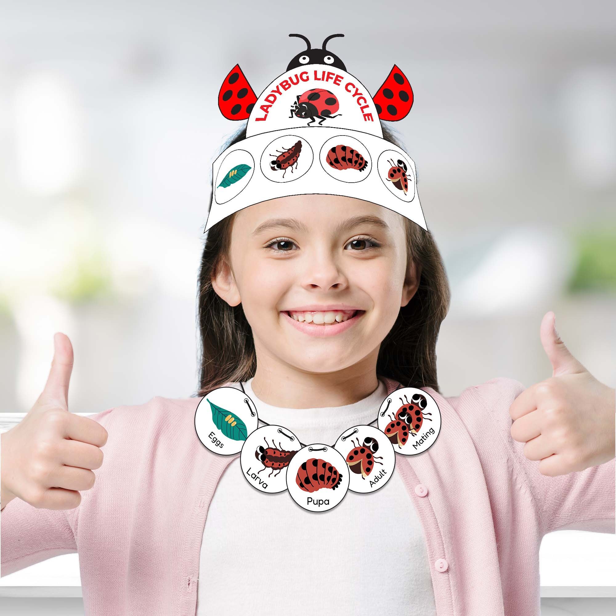 Ladybug Life Cycle Activities | Homeschool Printable | Foldable Science ...