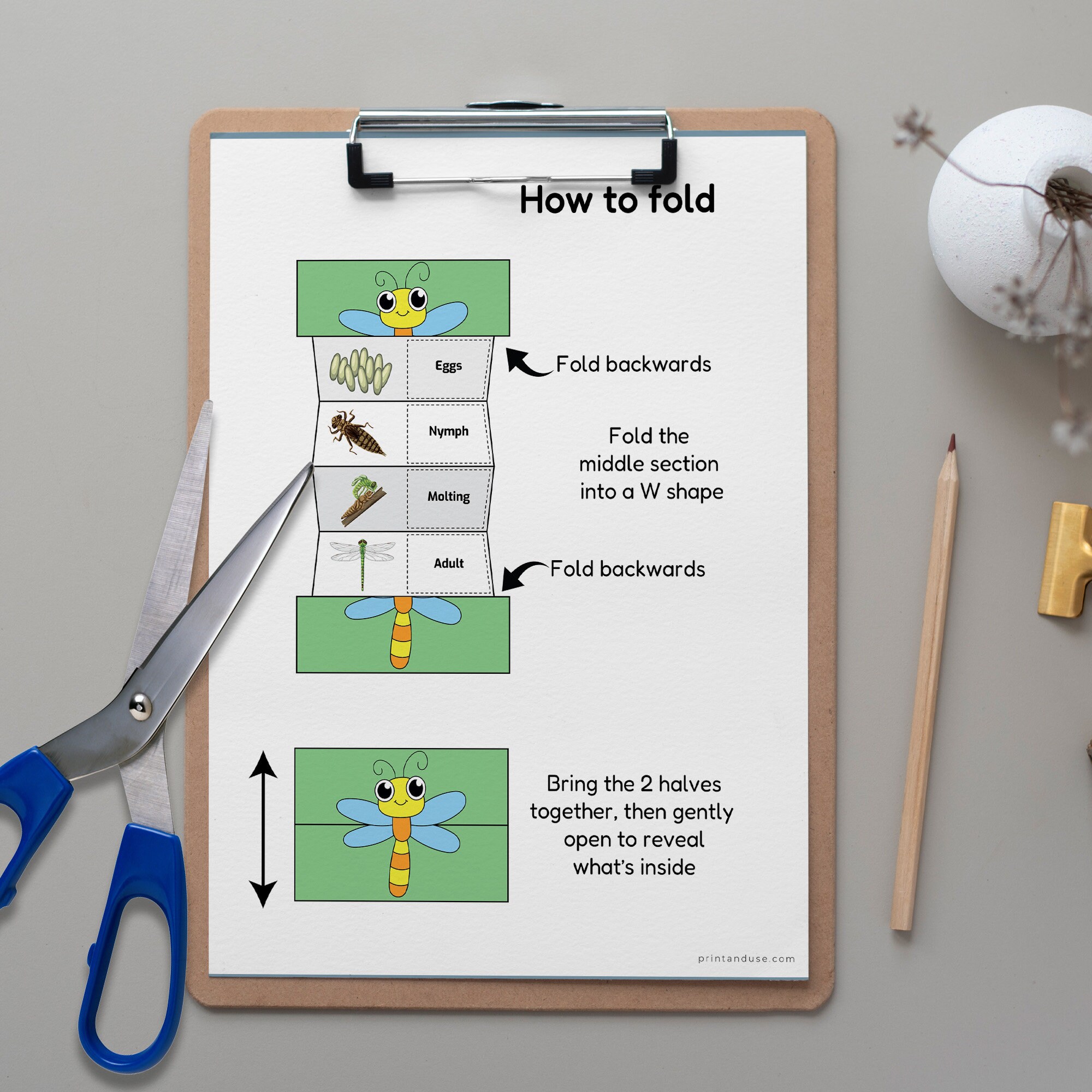 Dragonfly Life Cycle Activities | Homeschool Printable | Life Cycle of ...
