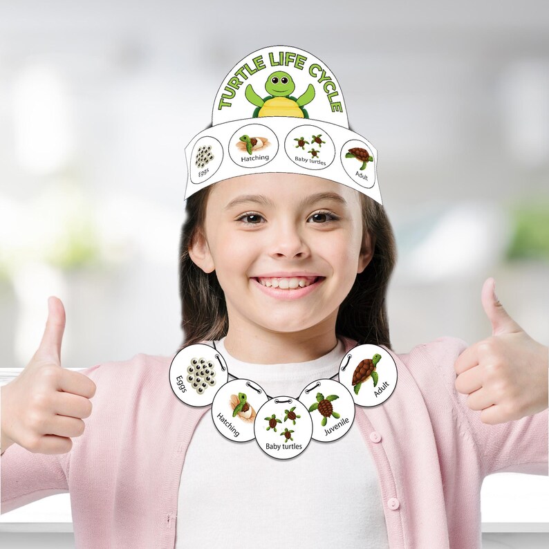 Turtle Life Cycle Activity Pack – Fun & Interactive Science Worksheets ...
