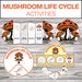 Mushroom Life Cycle Activity Pack - Discover Fungi Wonders! - Etsy