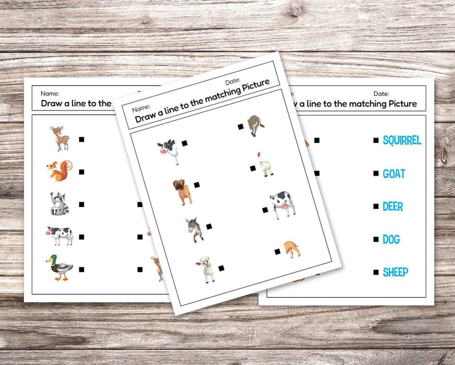 Matching Worksheets for Kids - 20 Printable Pages of Fun Educational ...