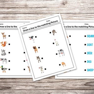 Matching Worksheets for Kids - 20 Printable Pages of Fun Educational ...