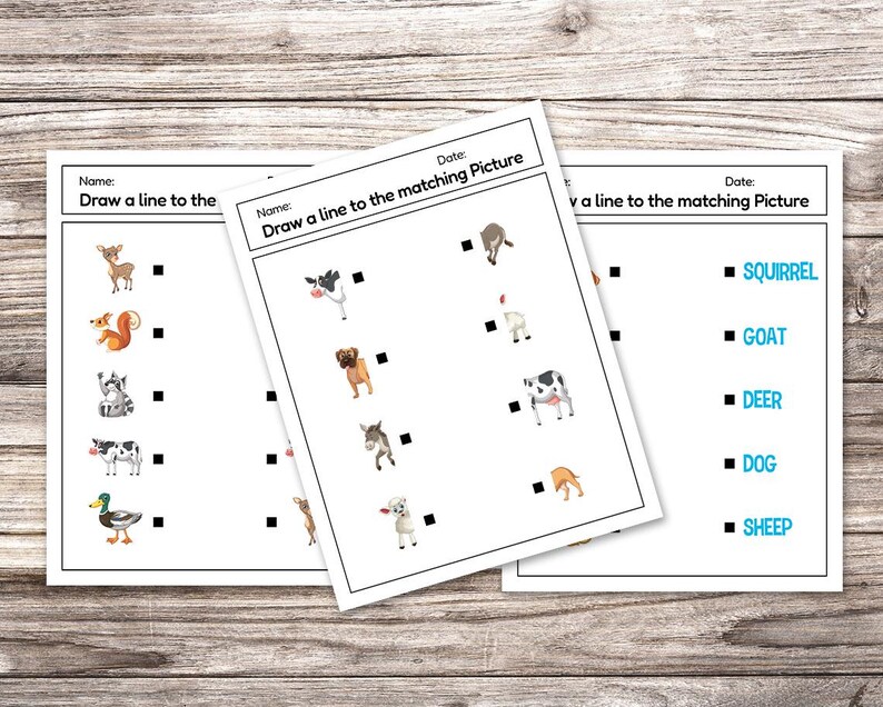 Matching Worksheets for Kids - 20 Printable Pages of Fun Educational ...