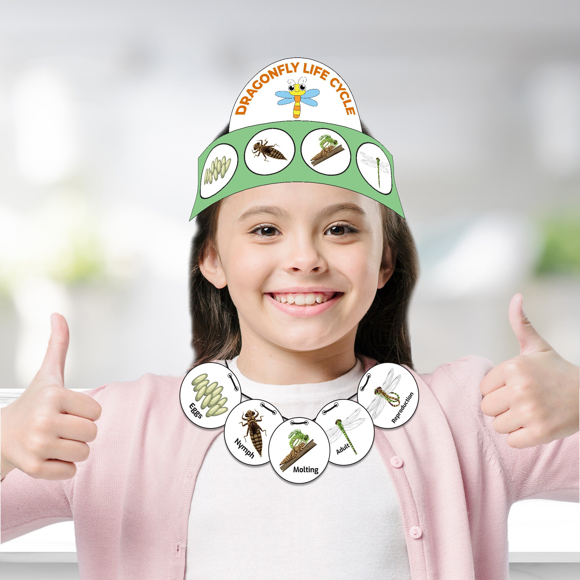 Dragonfly Life Cycle Activities | Homeschool Printable | Life Cycle of ...