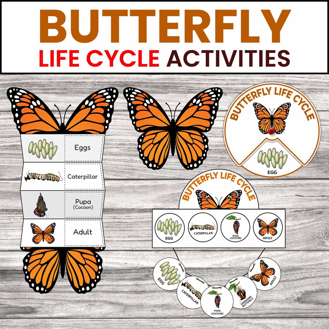 Butterfly Life Cycle Activities | Life Cycle of a Butterfly Craft ...