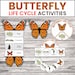 Butterfly Life Cycle Activities | Life Cycle of a Butterfly Craft ...