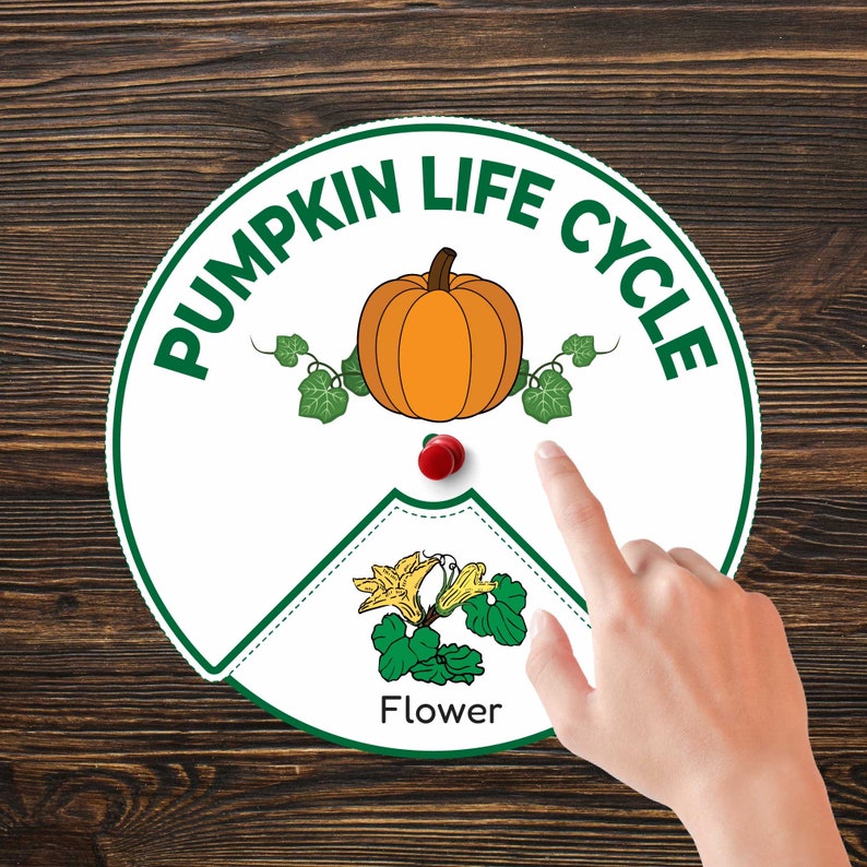 Pumpkin Life Cycle Activities | Homeschool Printable | Foldable Science ...