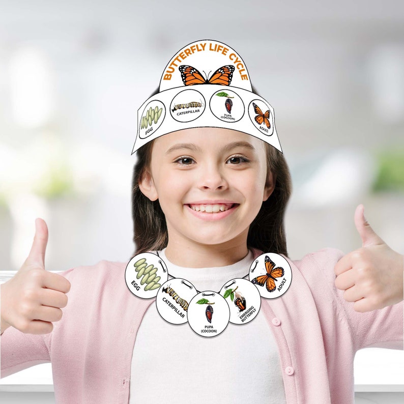 Butterfly Life Cycle Activities | Life Cycle of a Butterfly Craft ...