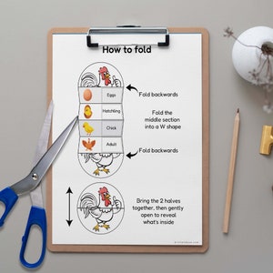 Chicken Life Cycle Activities | Homeschool Printable | Life Cycle of a ...