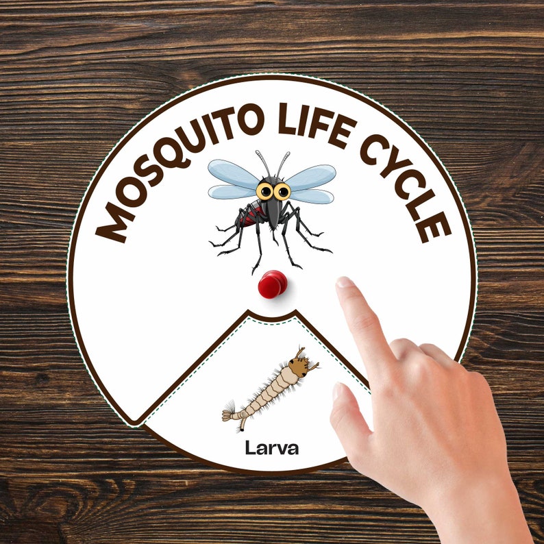 Mosquito Life Cycle Activity Pack - Explore the World of Mosquitoes! - Etsy