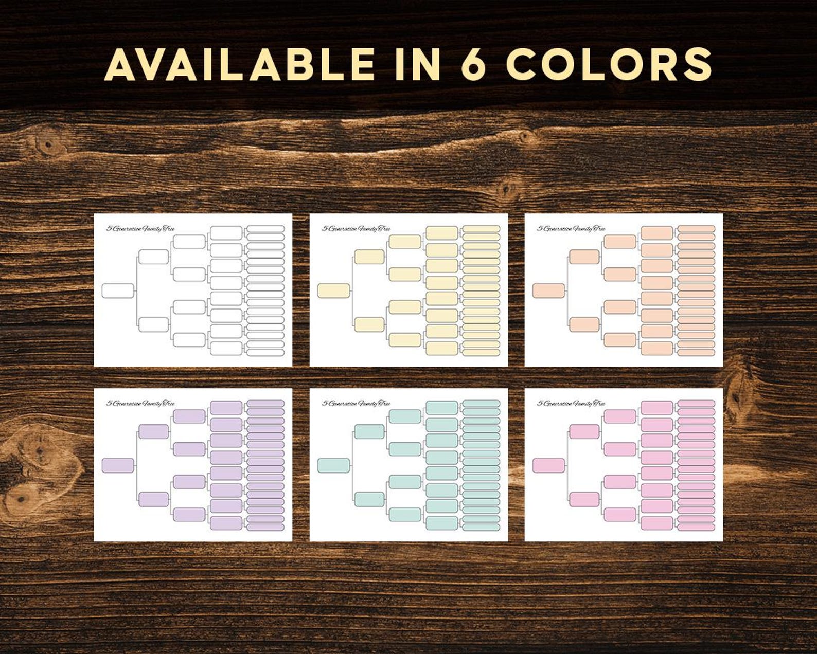 Editable 5-generation Family Tree Chart, Genealogy Template (digital ...