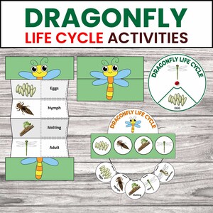 Dragonfly Life Cycle Activities | Homeschool Printable | Life Cycle of ...