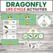 Dragonfly Life Cycle Activities | Homeschool Printable | Life Cycle of ...