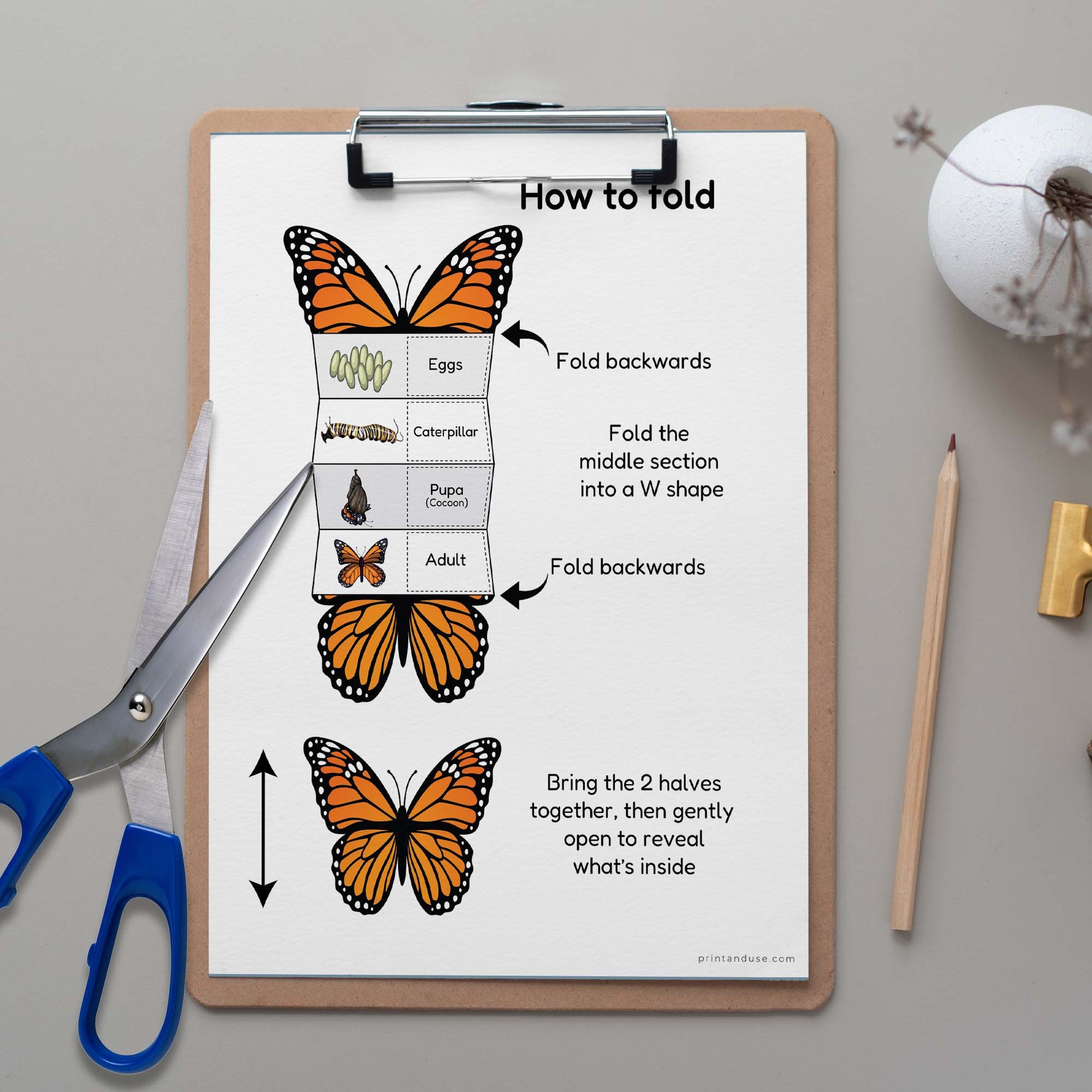 Butterfly Life Cycle Activities | Life Cycle of a Butterfly Craft ...
