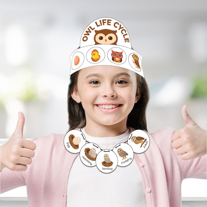 Owl Life Cycle Activity Pack – Fun & Educational Science Worksheets for ...