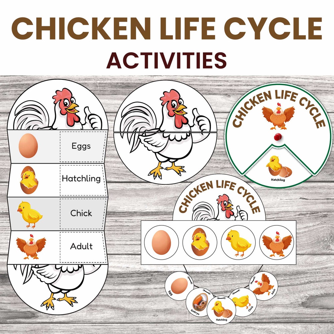 Chicken Life Cycle Activities | Homeschool Printable | Life Cycle of a ...