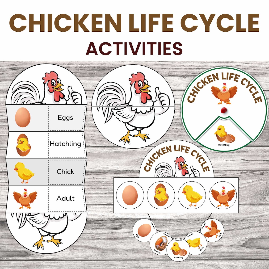 Chicken Life Cycle Activities | Homeschool Printable | Life Cycle of a ...