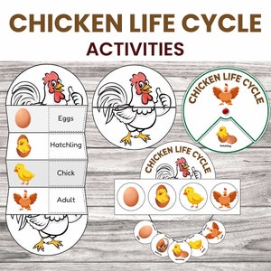 Chicken Life Cycle Activities | Homeschool Printable | Life Cycle of a ...