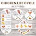 Chicken Life Cycle Activities | Homeschool Printable | Life Cycle of a ...