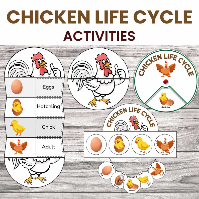 Chicken Life Cycle Activities | Homeschool Printable | Life Cycle of a ...