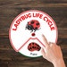Ladybug Life Cycle Activities | Homeschool Printable | Foldable Science ...