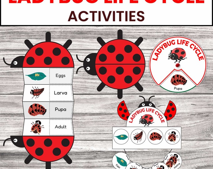 Life Cycle Clip Art - Ladybug Life Cycle Clip Art - Egg Clipart ...