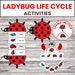 Ladybug Life Cycle Activities | Homeschool Printable | Foldable Science ...