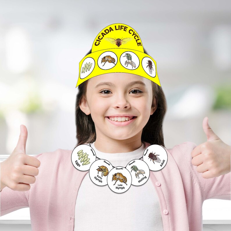 Cicada Life Cycle Activities | Homeschool Printable | Foldable Science ...