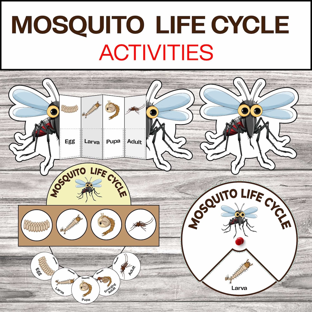 Mosquito Life Cycle Activity Pack - Explore the World of Mosquitoes! - Etsy