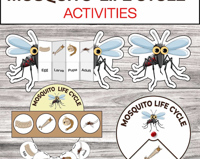 Mosquito Life Cycle Activity Pack - Explore the World of Mosquitoes! - Etsy