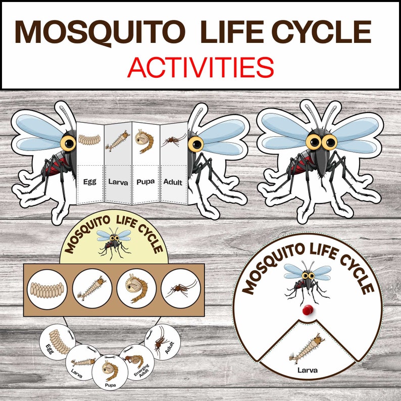 Mosquito Life Cycle Activity Pack - Explore the World of Mosquitoes! - Etsy