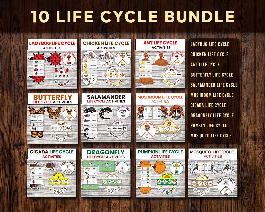 Life Cycle Bundle Printable | 10 Foldable Worksheets | Activity for ...